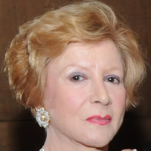 Meet the Team - Heartcells